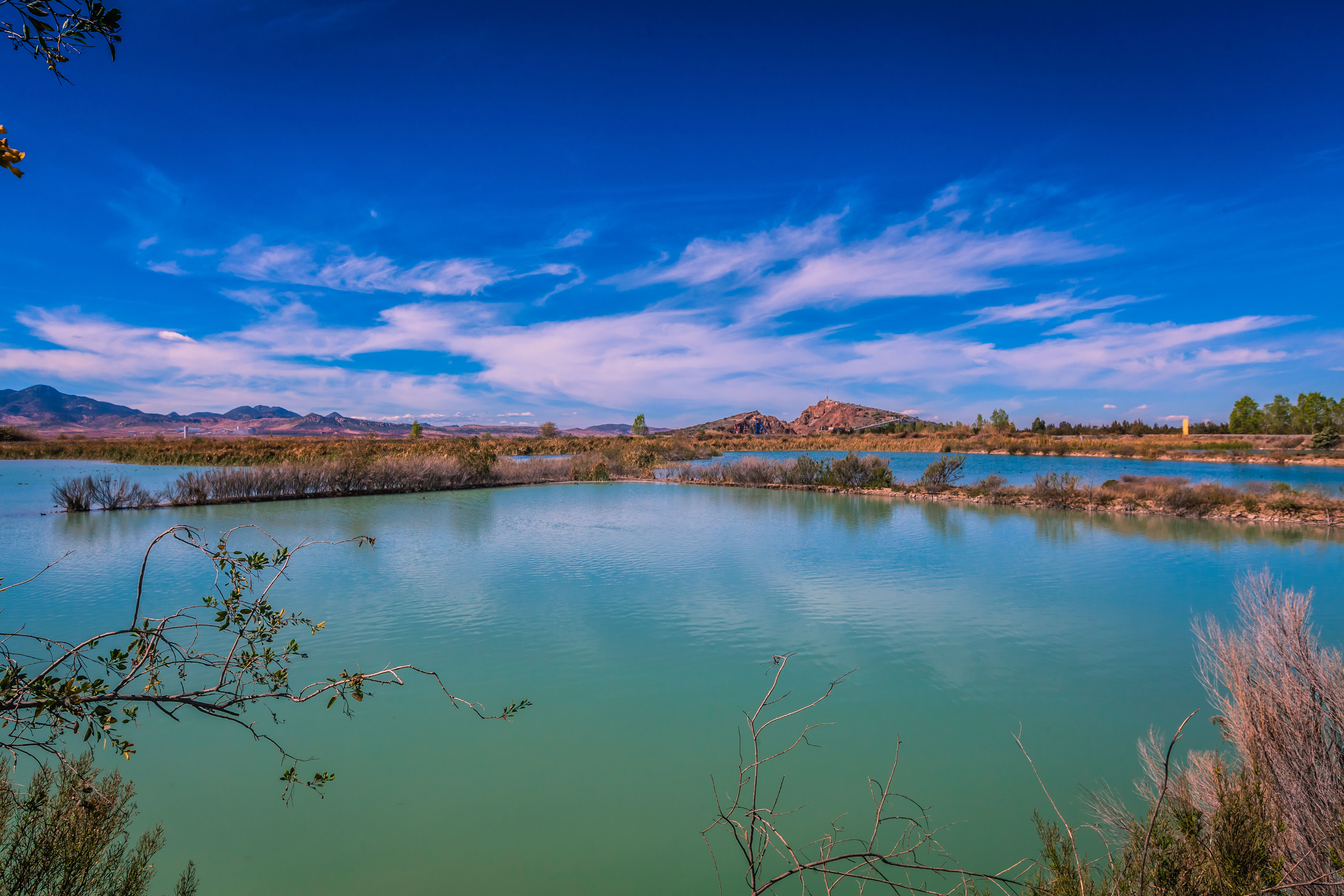 Fresnillo